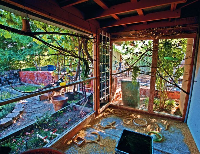 Things to Consider When Building an Outdoor Bird Aviary