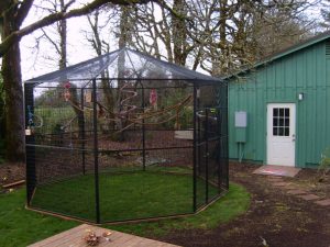 Things to Consider When Building an Outdoor Bird Aviary