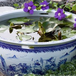 Soak Up These The Best Water Feature Ideas for Your Garden | Blog | BillyOh