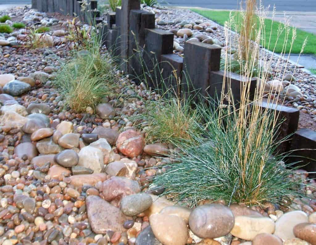 Beach Garden Ideas: How To Make a Coastal Garden (With Pics) | BillyOh