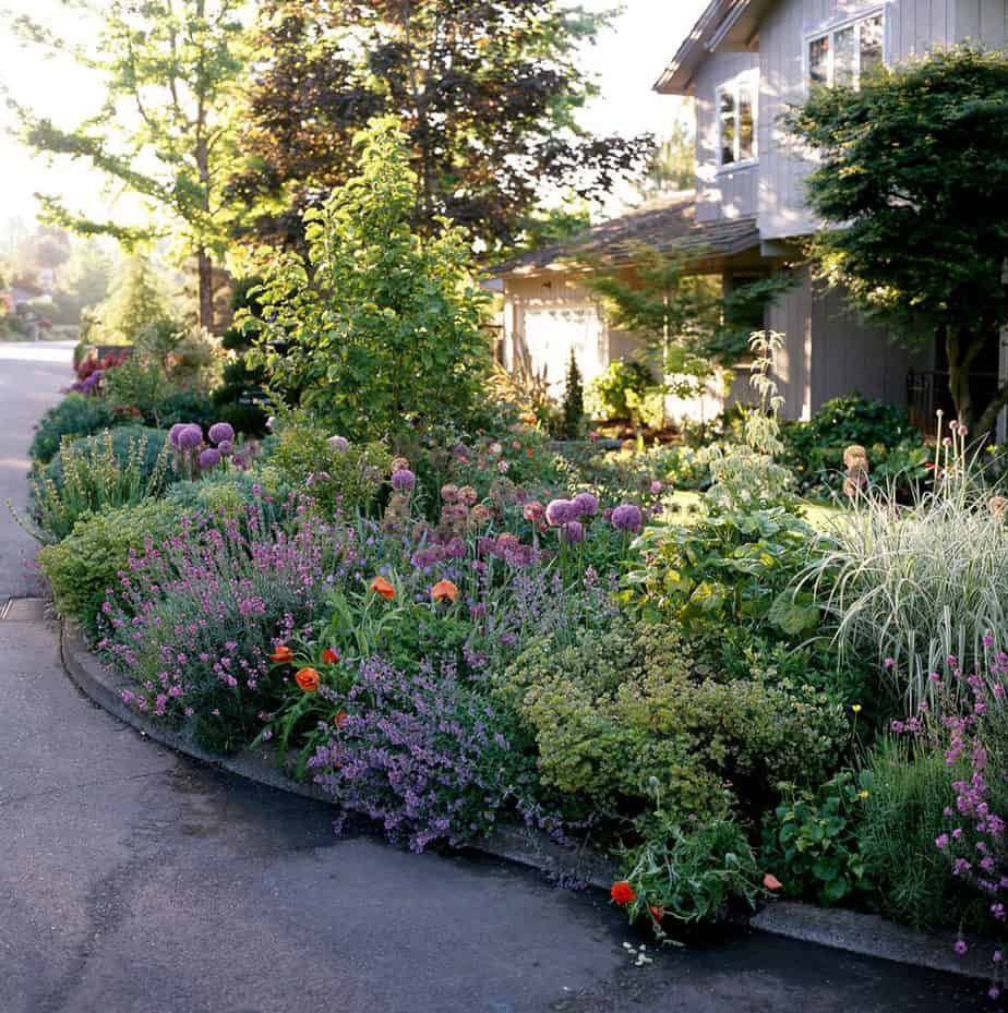 Front Garden Ideas: It's Makeover Time! (With Pics) | Blog