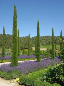 French Garden Ideas for a Touch of Elegance - BillyOh.com