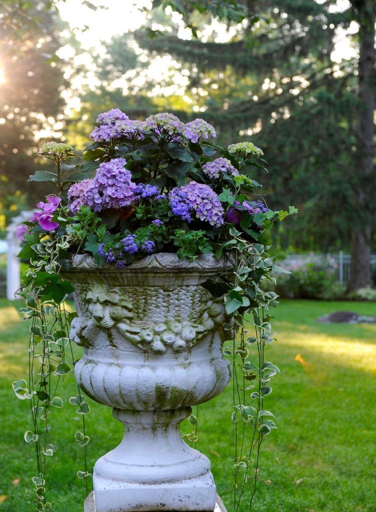 Victorian Garden Ideas to Add 19th Century Appeal