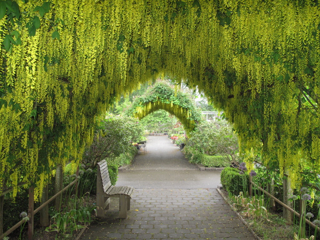 Victorian Garden Ideas to Add 19th Century Appeal
