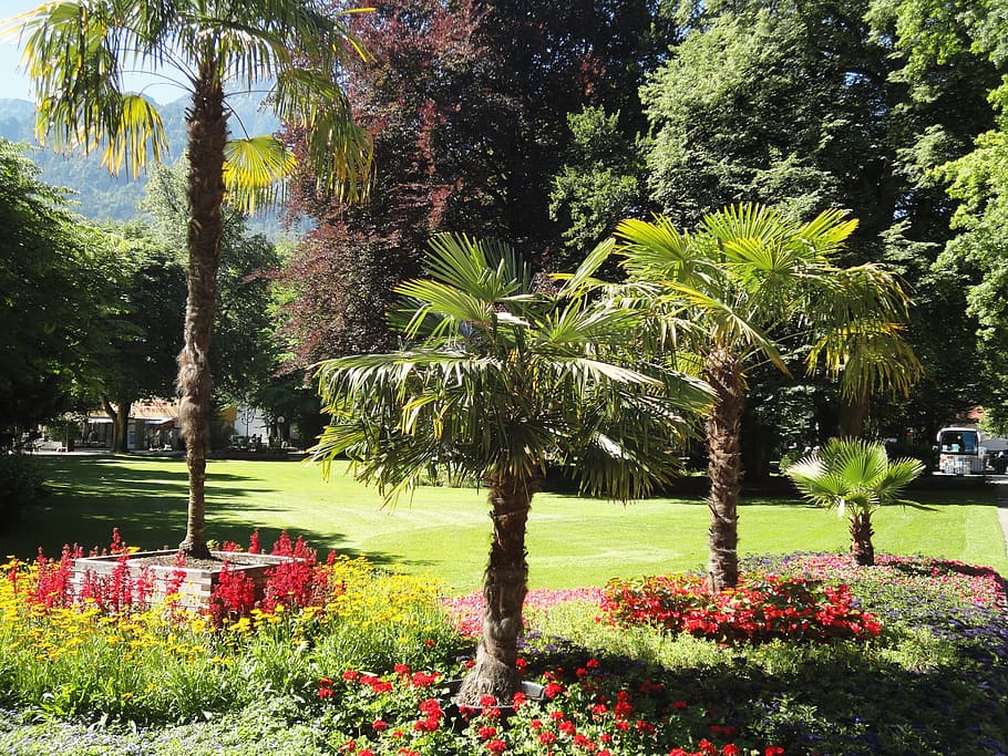 Victorian Garden Ideas to Add 19th Century Appeal